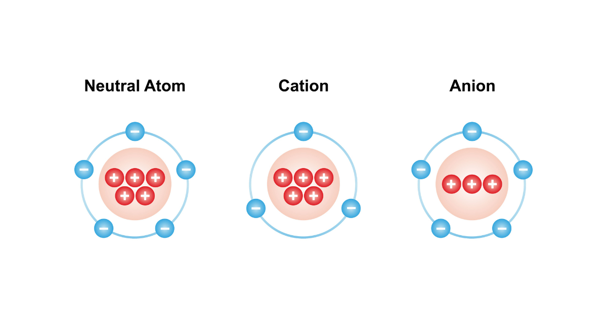 Cationic vs Anionic Ingredients in Skincare | A Simple Guide – Natural ...